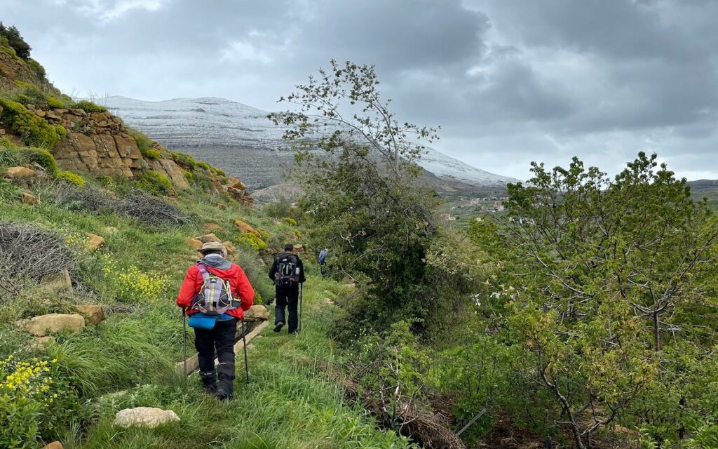Preserving the green heart of Lebanon - Nowlebanon