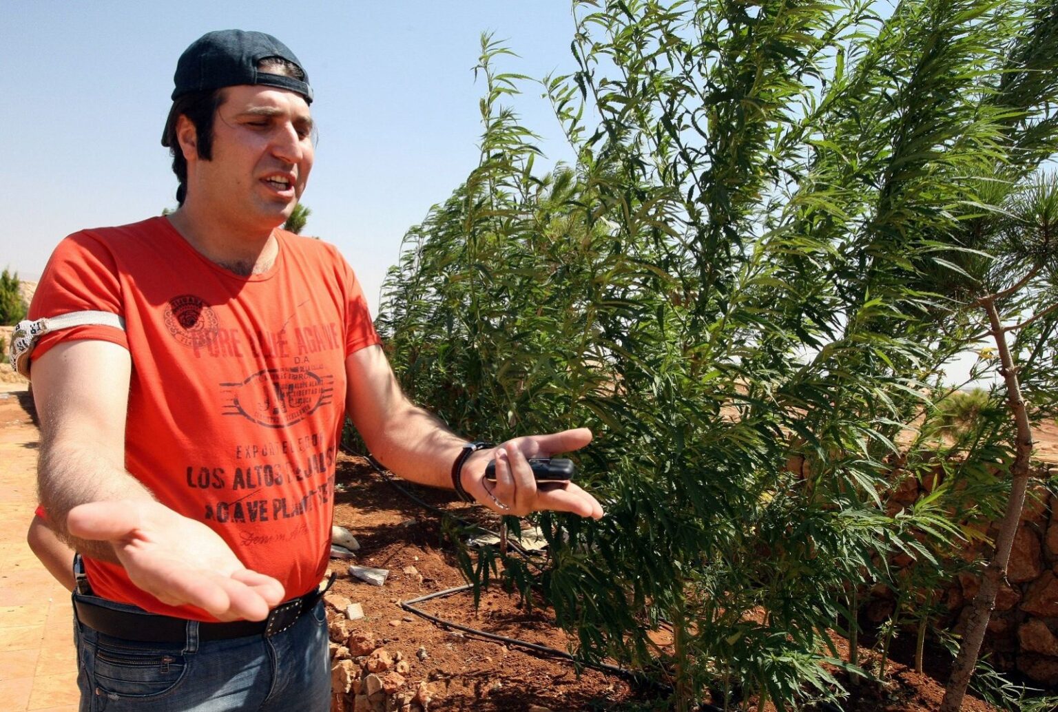 Lebanon arrests Noah Zaiter as state ramps up crackdowns - Nowlebanon